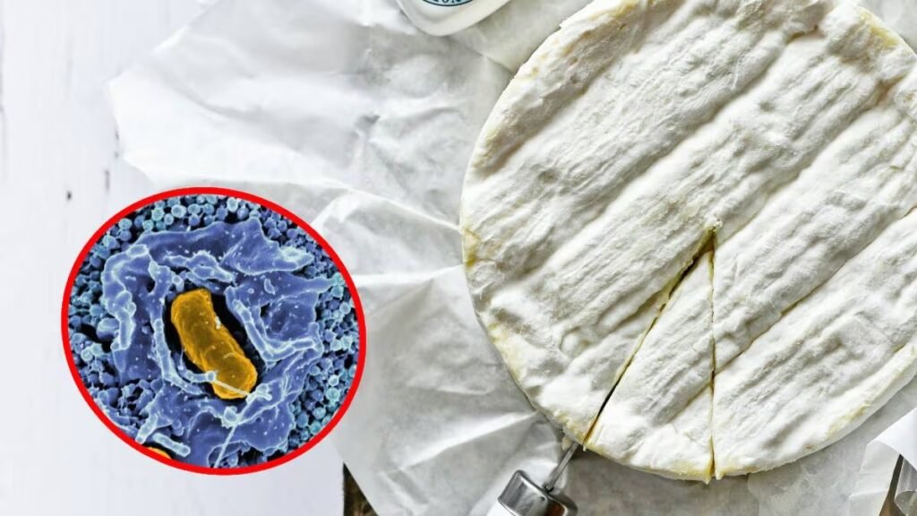 ¿Qué significa churpia? Carlos Jiménez llama así a Sandra Cuevas ...